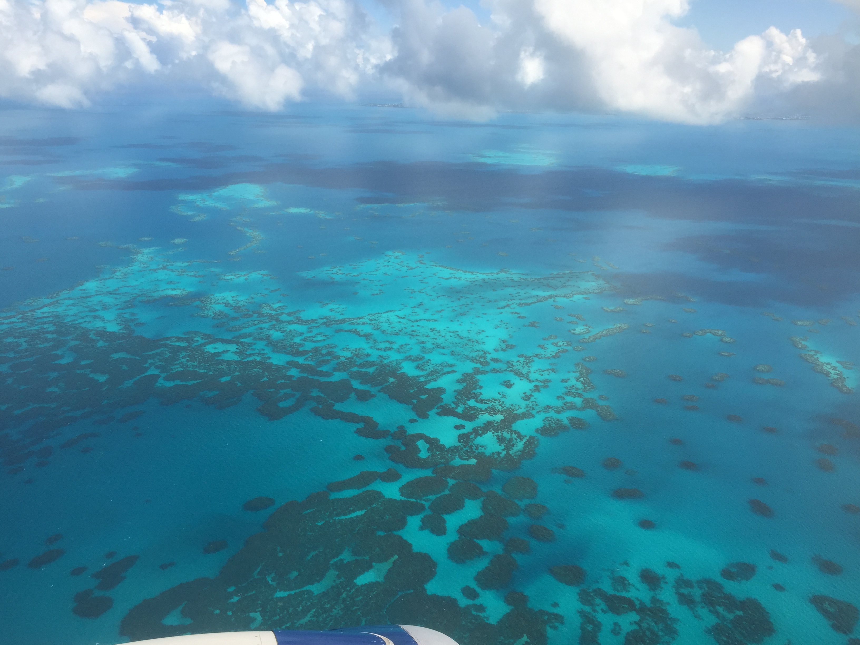 Bermuda Blues | Hayward Design House